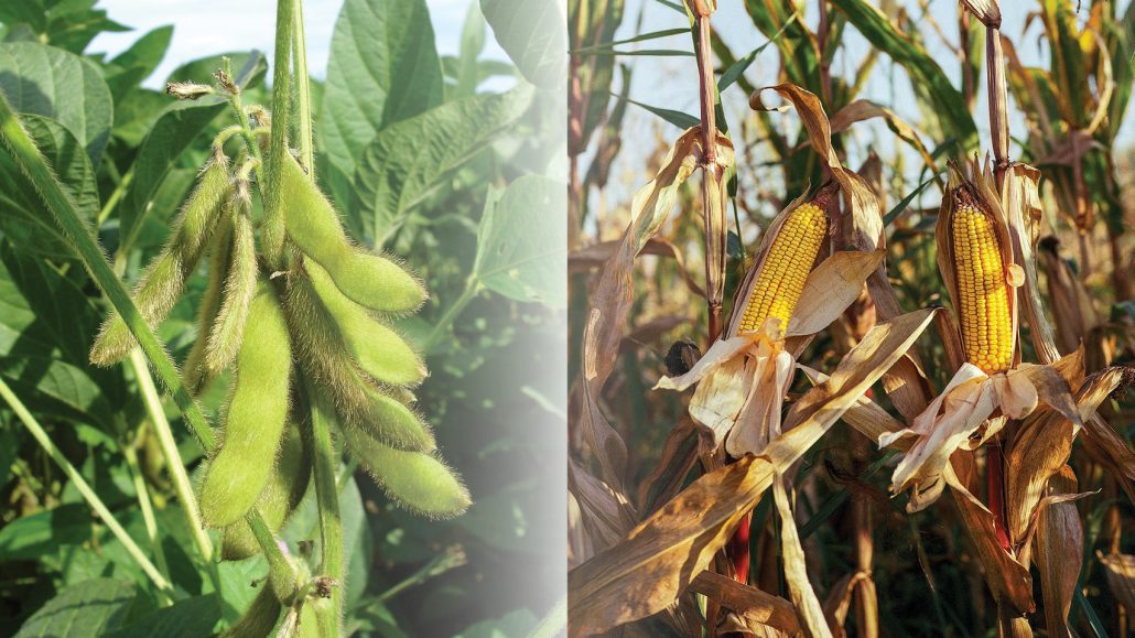 advisory Note – NAMC | National Agricultural Marketing Council