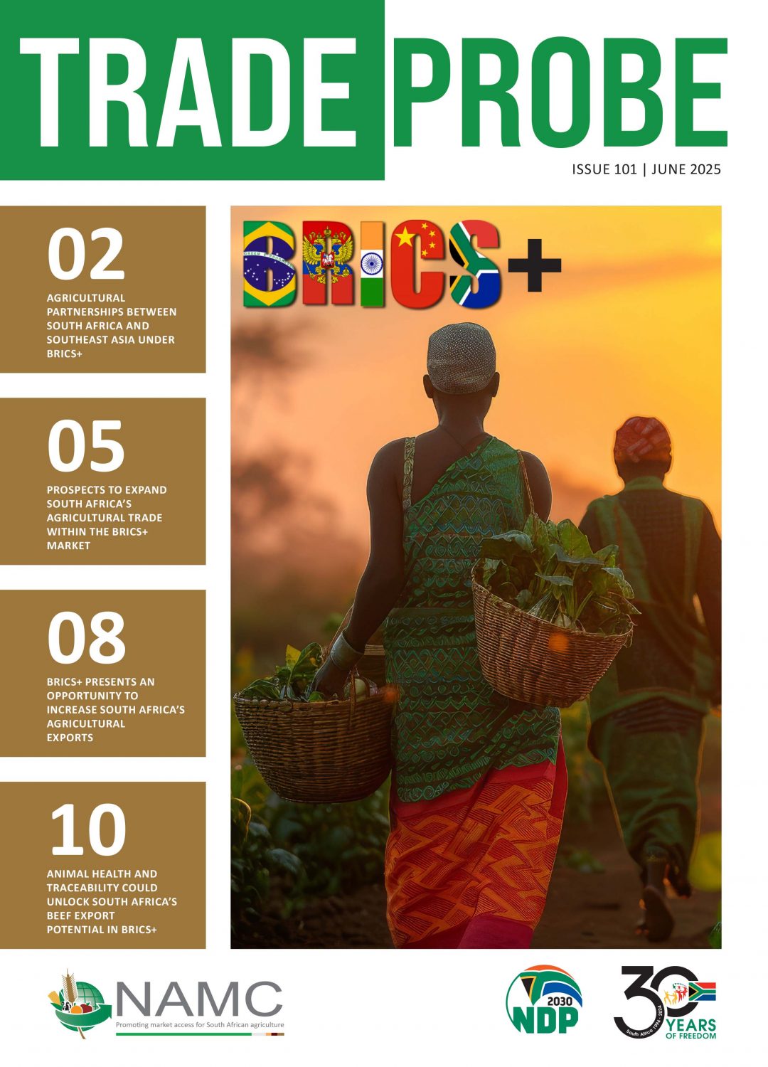 SOUTH AFRICAN CITRUS EXPORTS TO THE EXPANDED BRICS+: OPPORTUNITIES ...